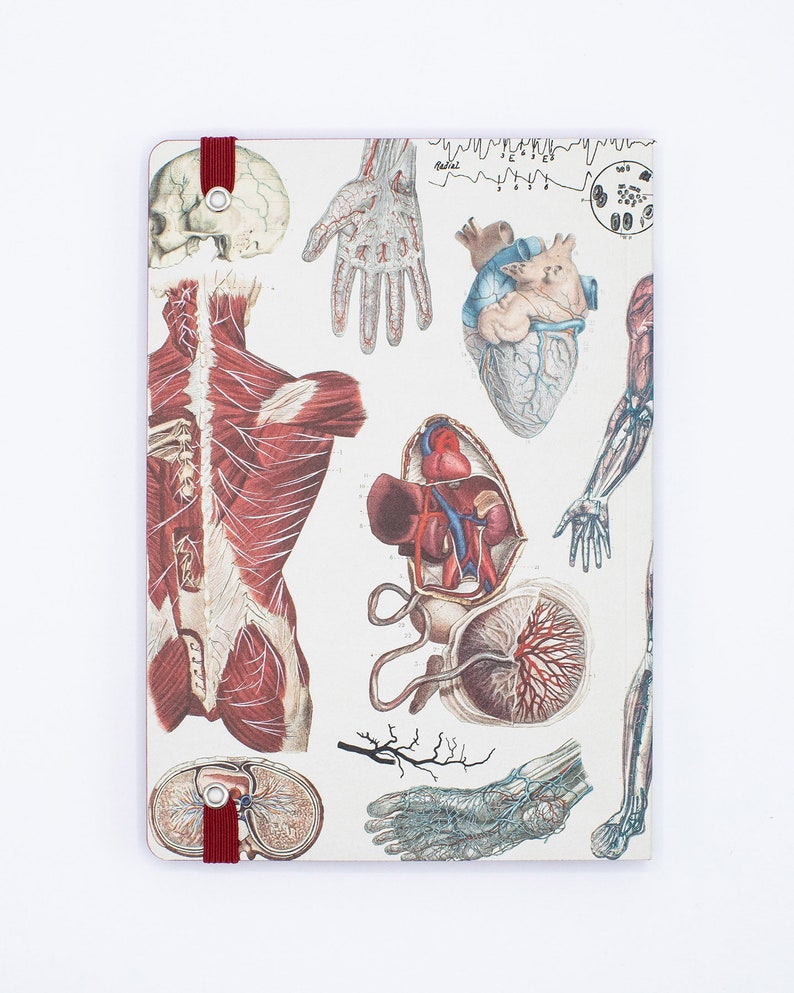 Anatomy A5 Notebook Softcover Medical Student Gift - Etsy