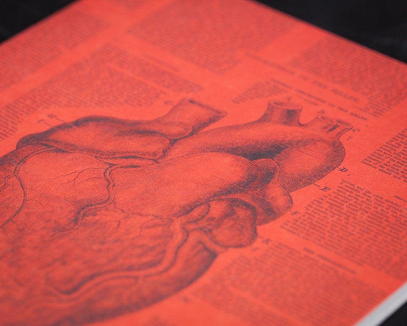 Anatomical Heart Journal Softcover Medical Student Gift | Etsy