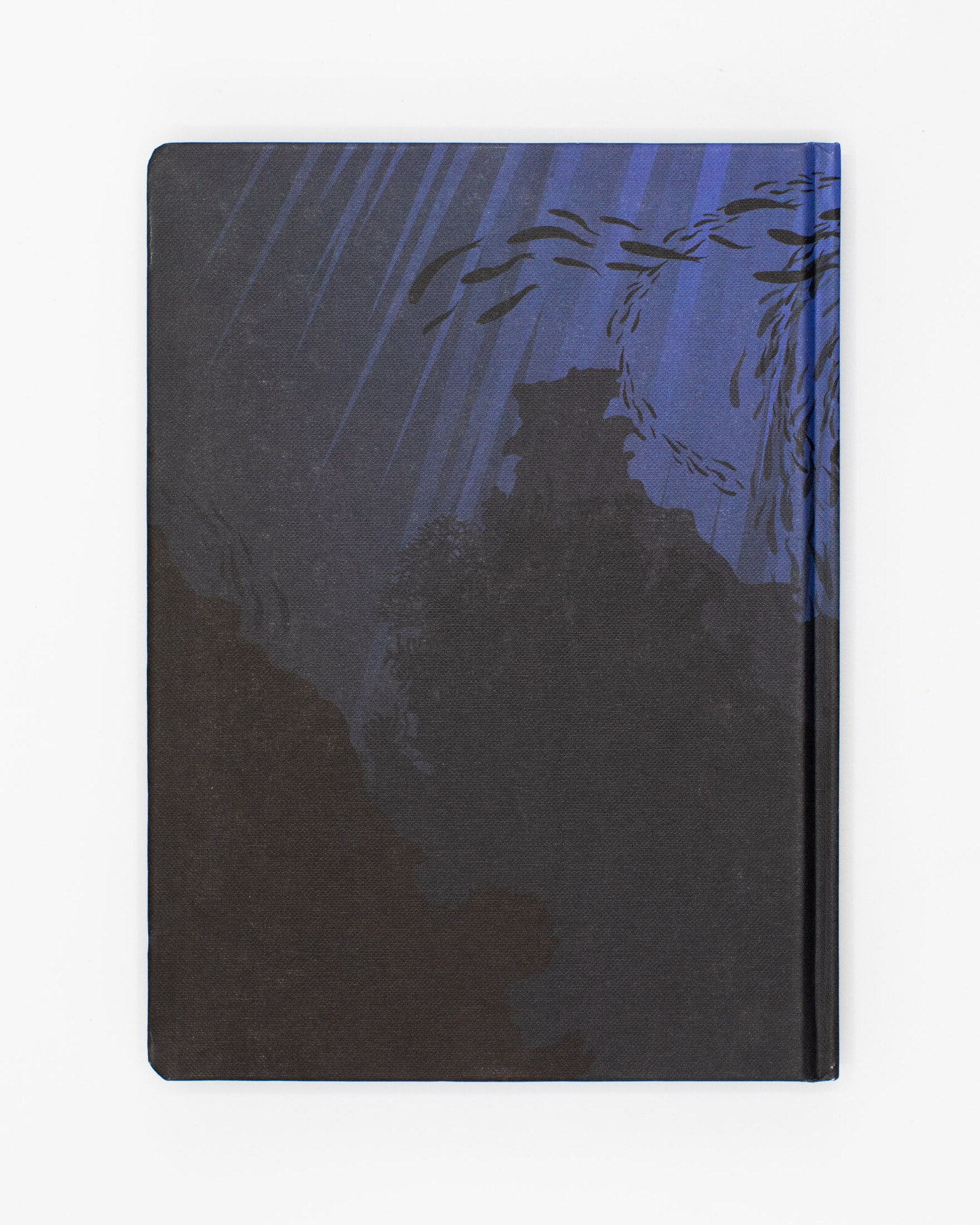 Under the Waves Black Paper Notebook | Dark Matter, Science Notebook ...