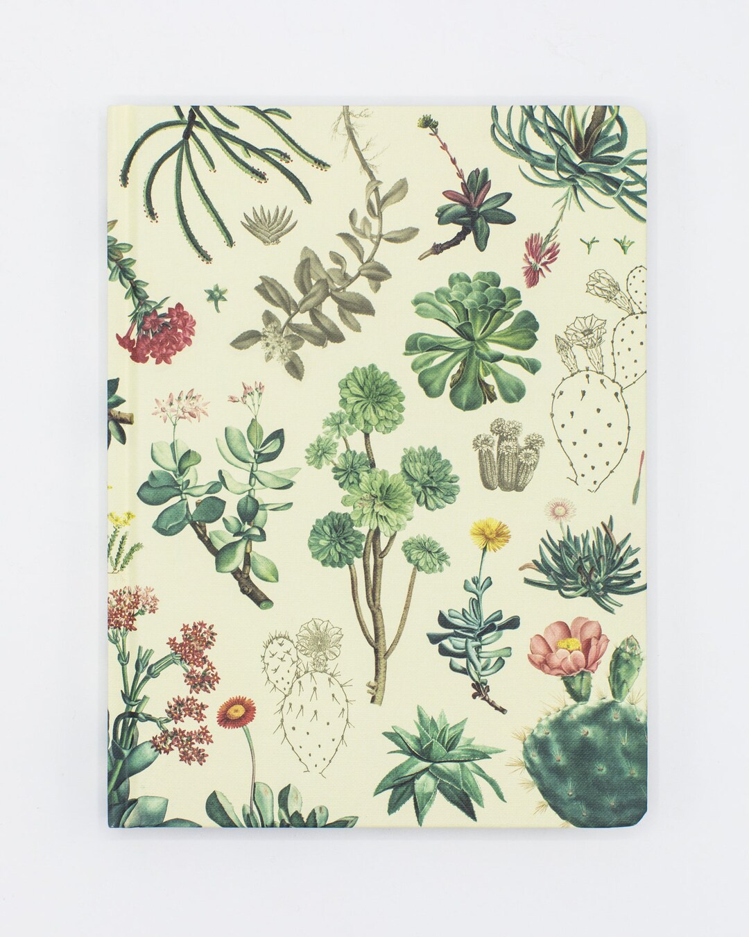Succulents Hardcover Hardcover Science Notebook, Botany, Ecology ...