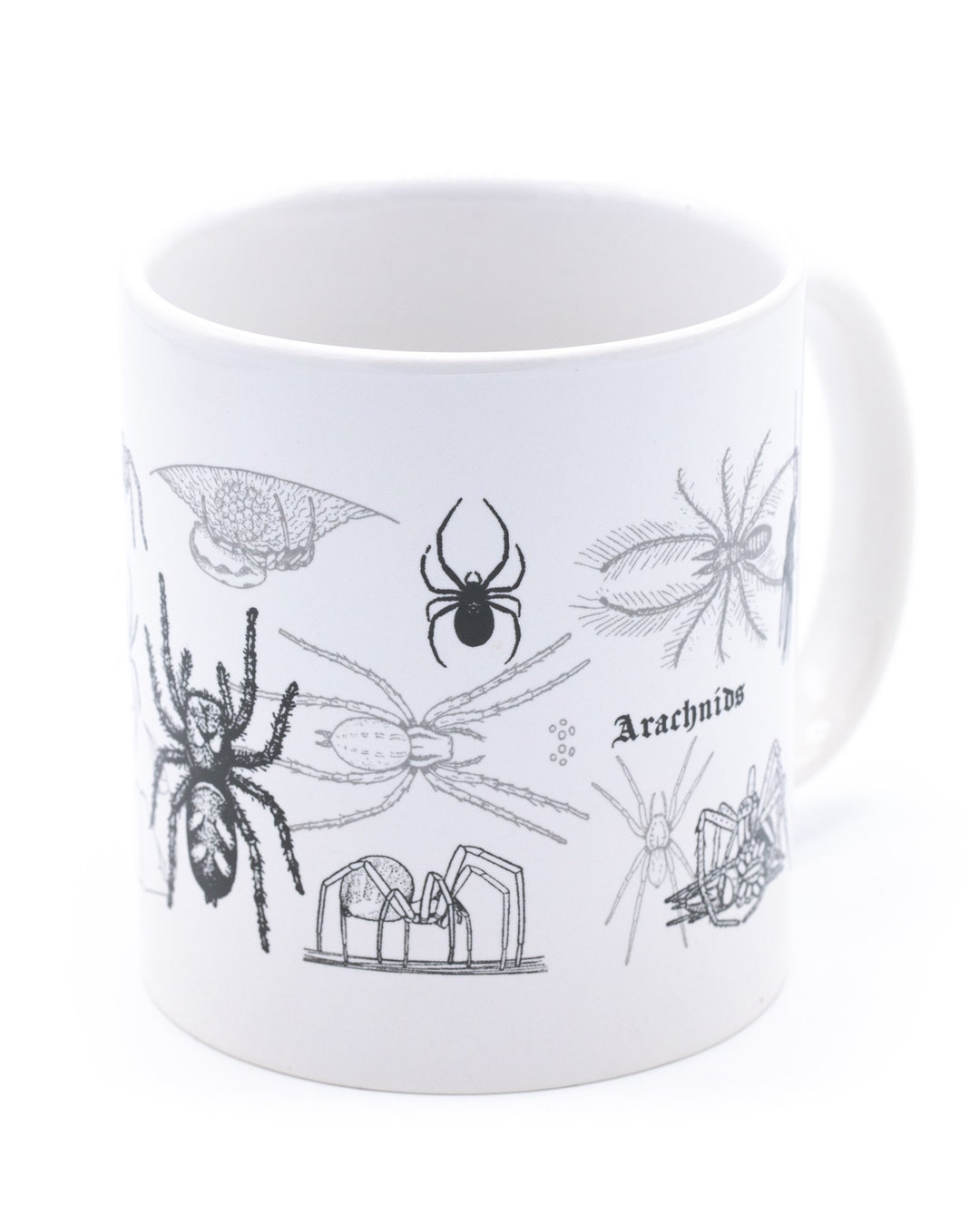 Spider Print Mug 20 Oz | Science Mug, Biology Gifts - Etsy