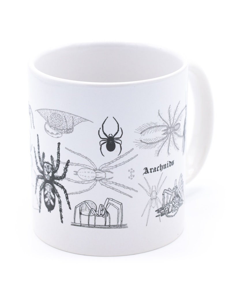 Spider Print Mug 20 Oz Science Mug Biology Gifts | Etsy