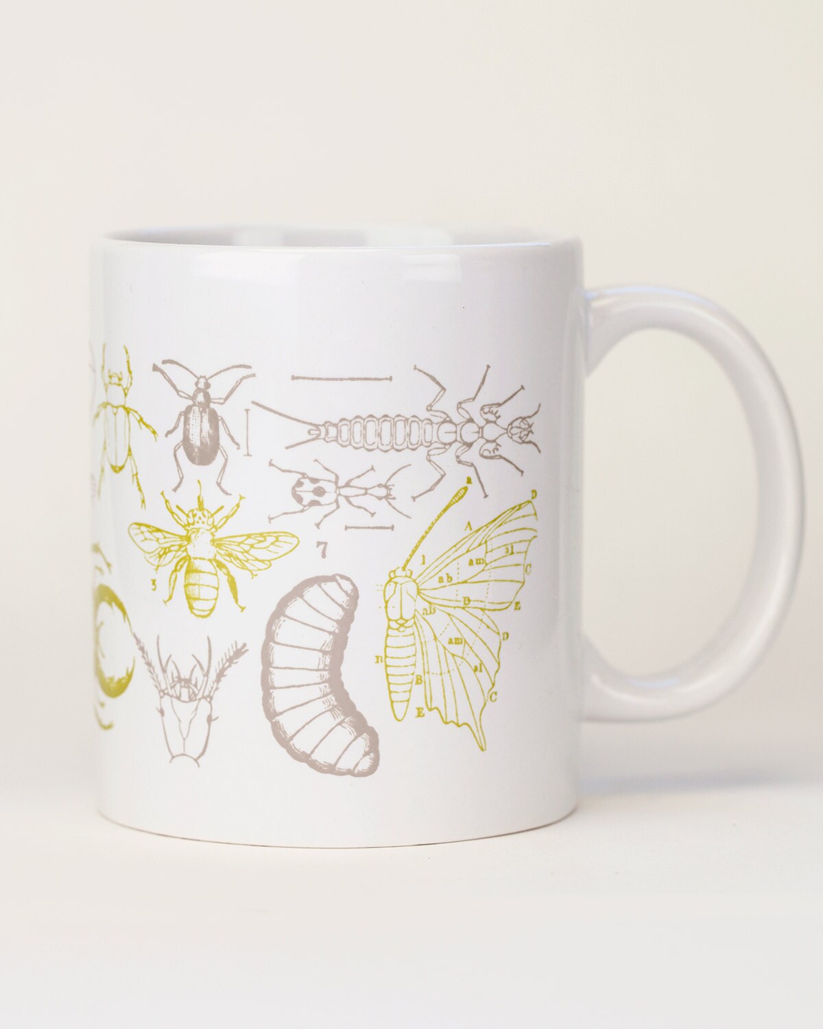 Entomology Mug Insect Coffee Mug Ceramic Bug Mug Gardeners | Etsy