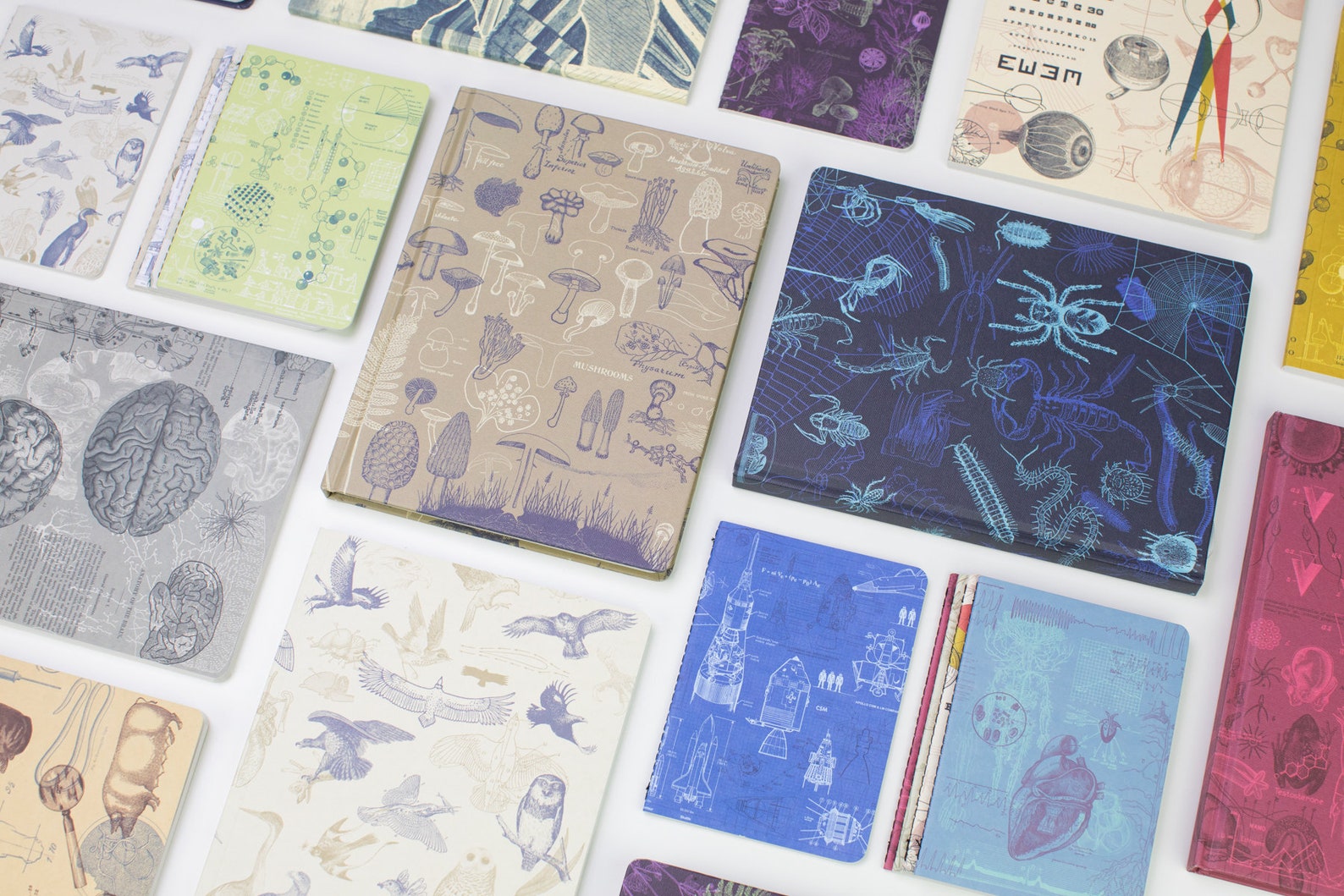 Marine Biology Ocean Print Notebook Hardcover Dot Grid | Etsy