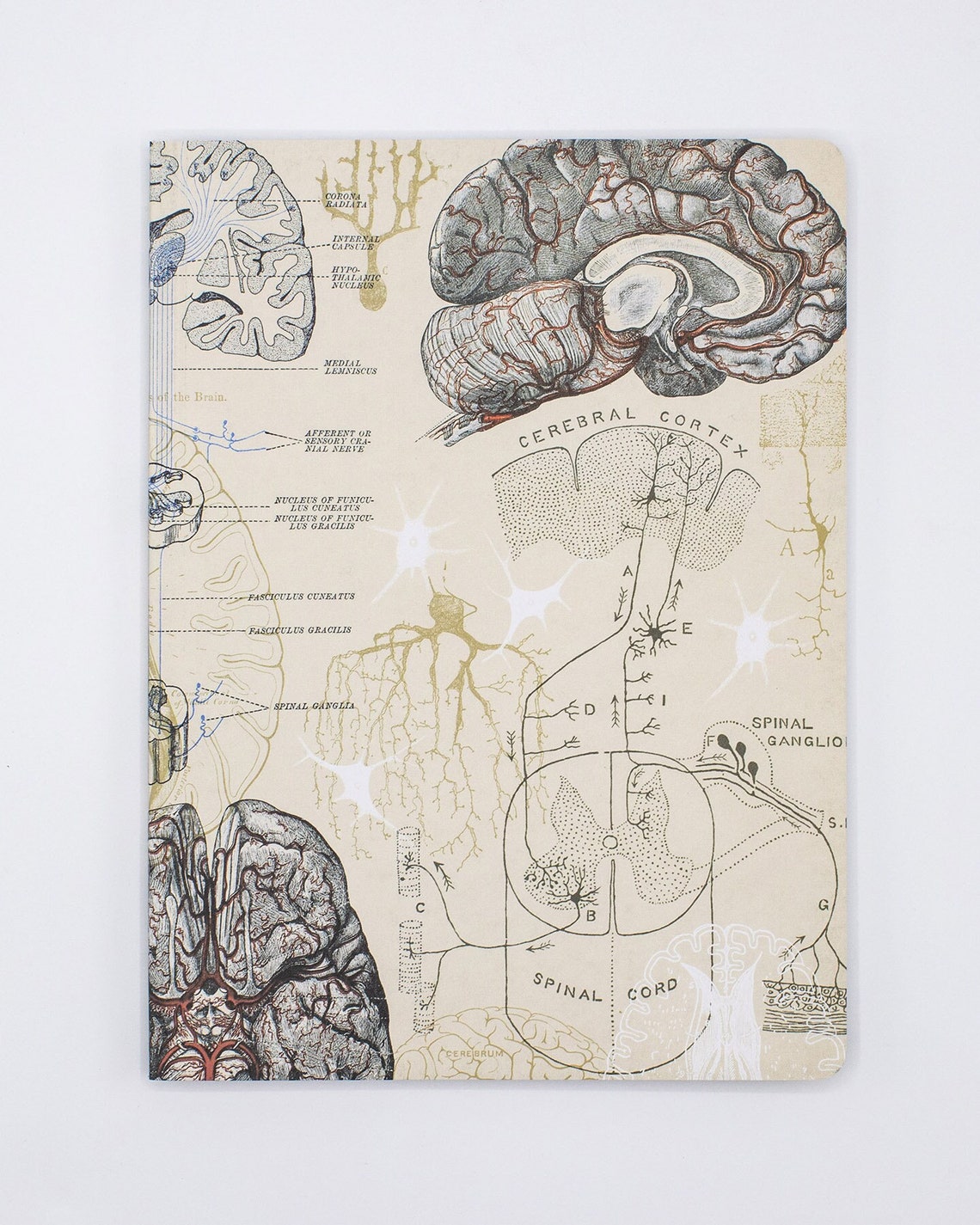 Brain Softcover Notebook Neuroscience Nursing Student Gift - Etsy