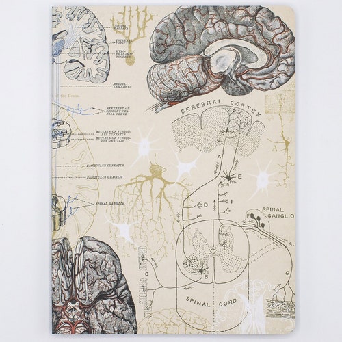Brain Softcover Notebook Neuroscience Nursing Student Gift - Etsy