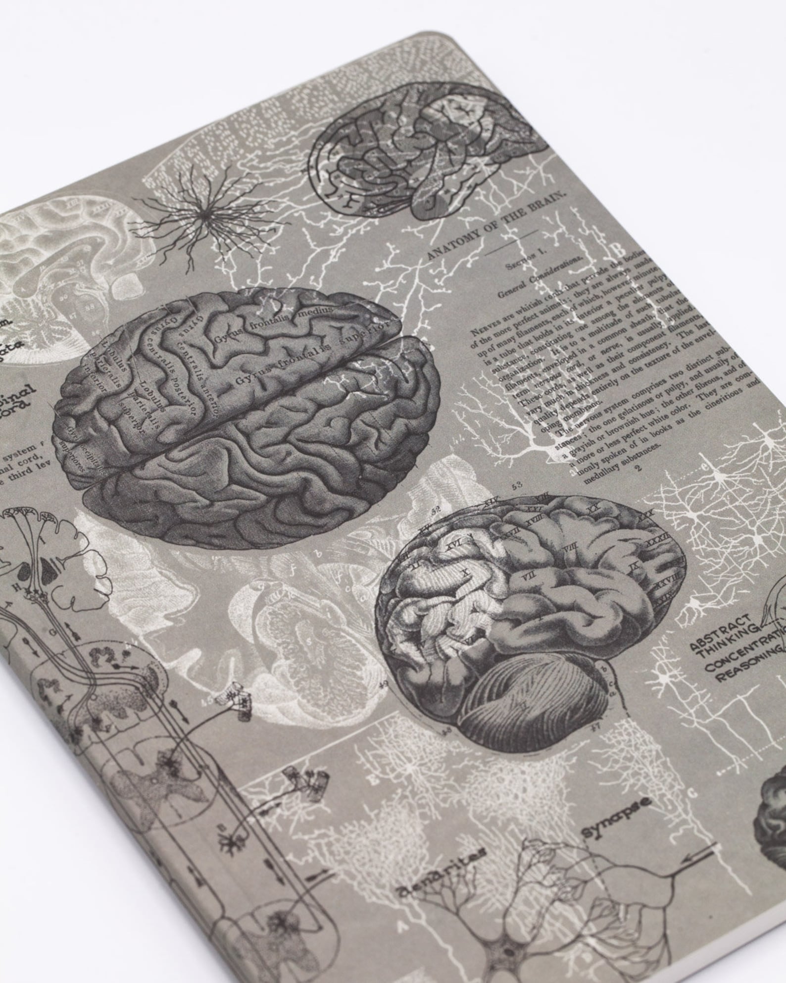 Brain Anatomy Softcover Notebook Dot Grid Journal Graph - Etsy