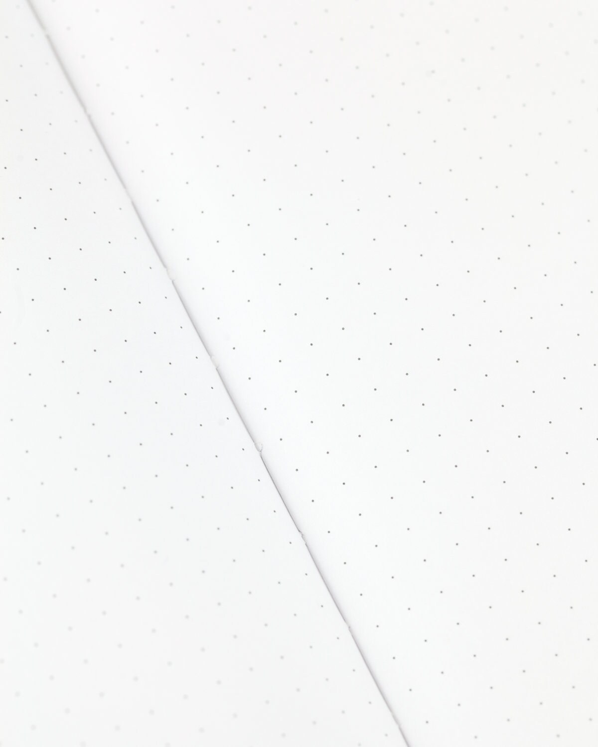 Brain Anatomy Hardcover Notebook Dot Grid Journal Graph | Etsy