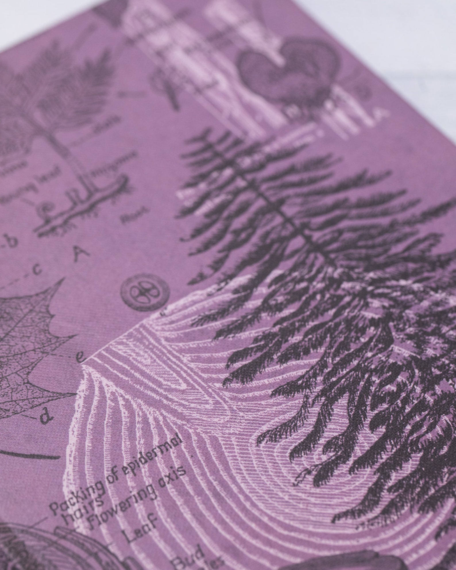 Tree Notebook Hardcover Hiking Journal Eco Journal Dot - Etsy