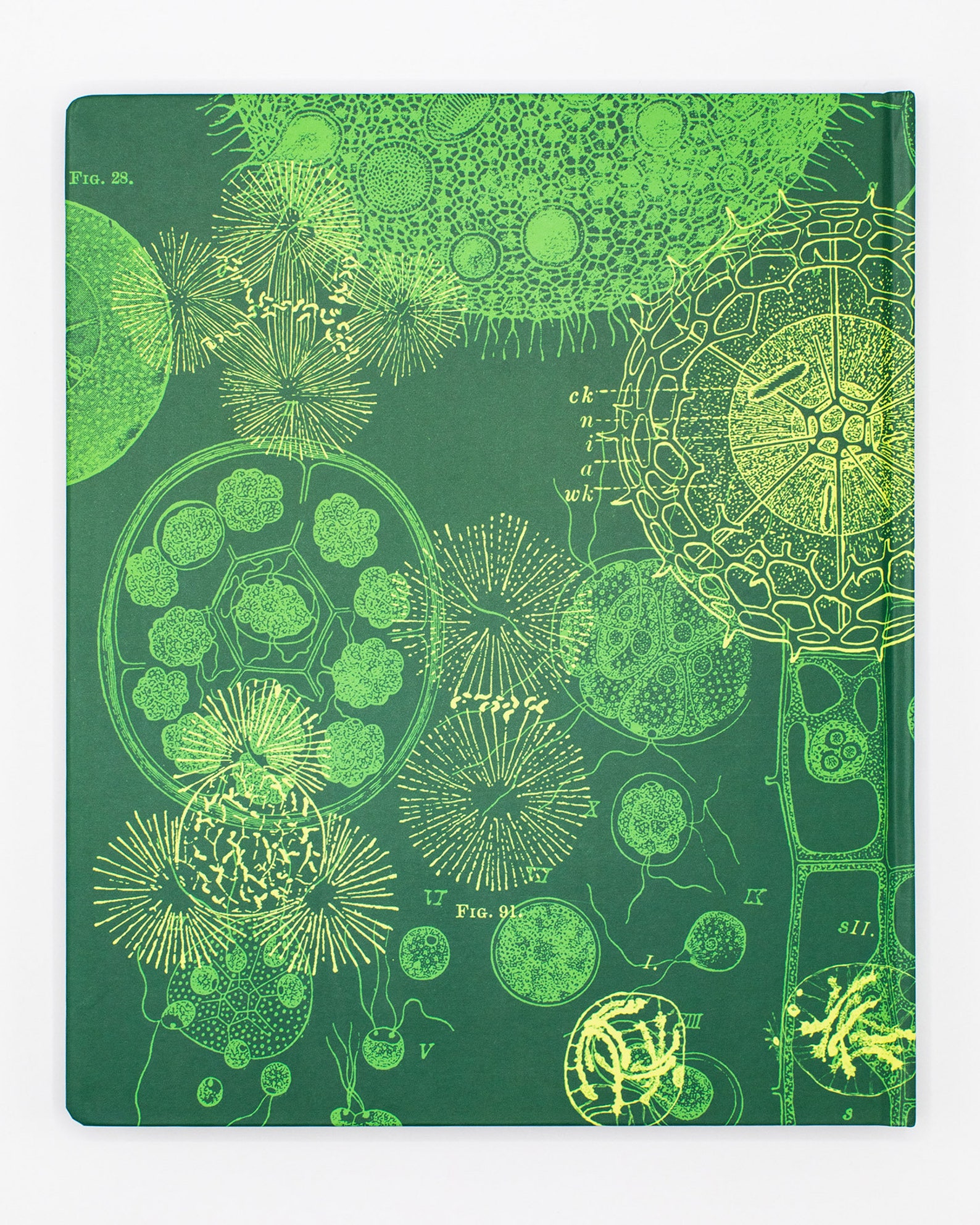 Cell Biology Lab Notebook Biology Gifts College Student - Etsy