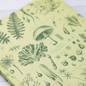 Botanical Print Notebook - Hardcover | Science Notebook, Botany ...
