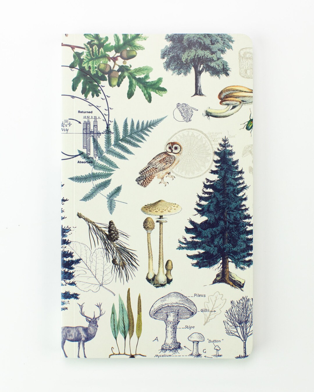 Forest Yearly Planner - Scheduler | Recycled Notebook, Course Planner ...