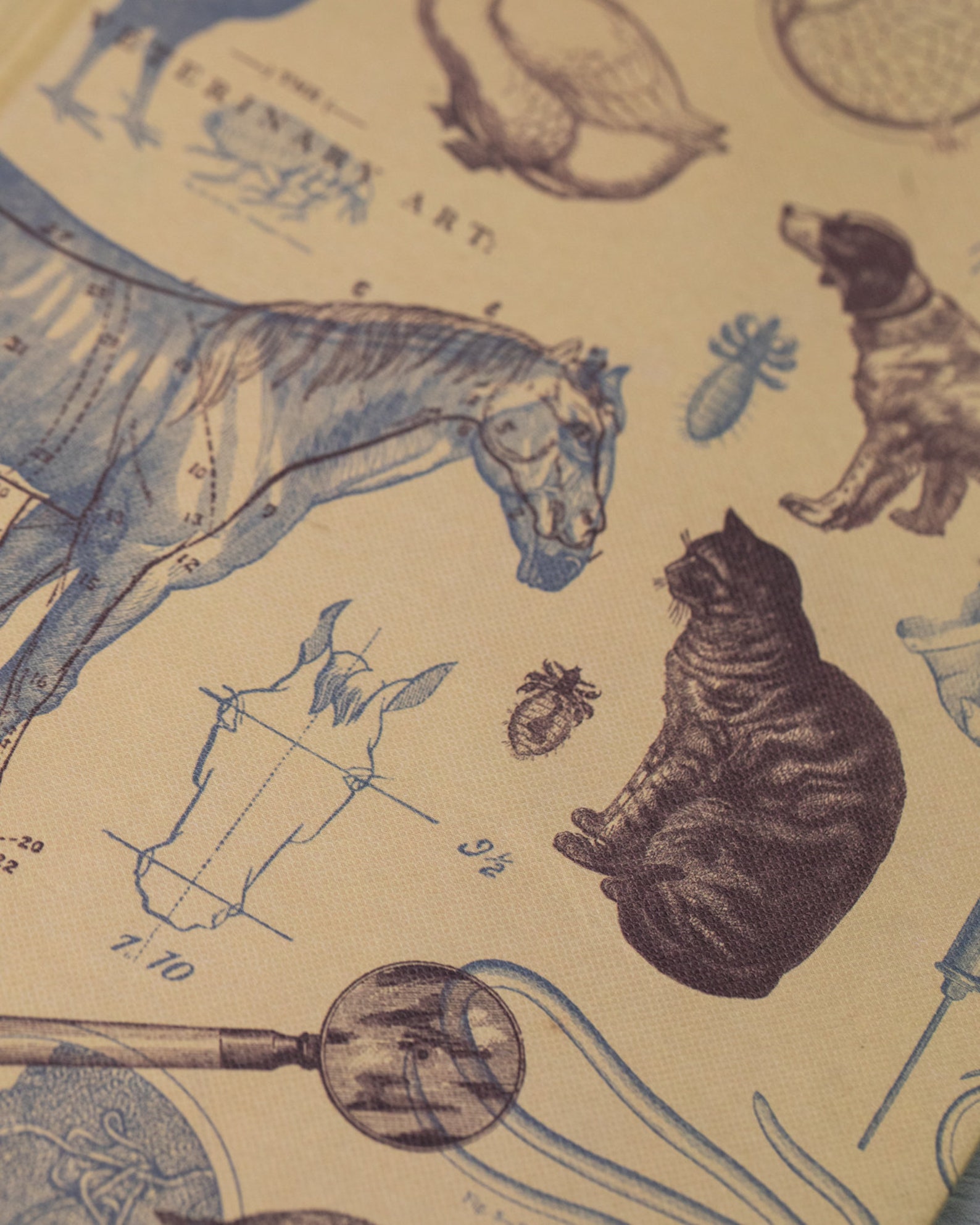 Veterinarian Notebook Hardcover Vet Journal Veterinarian | Etsy