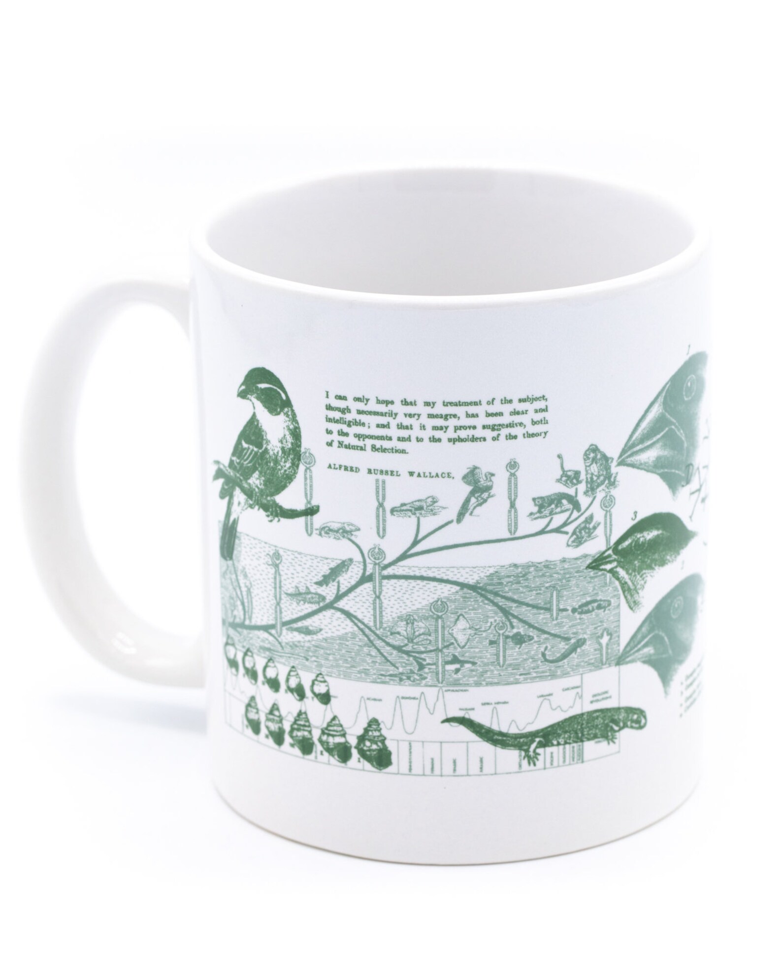 Evolution Science Mug 20 Oz Biology Gifts - Etsy