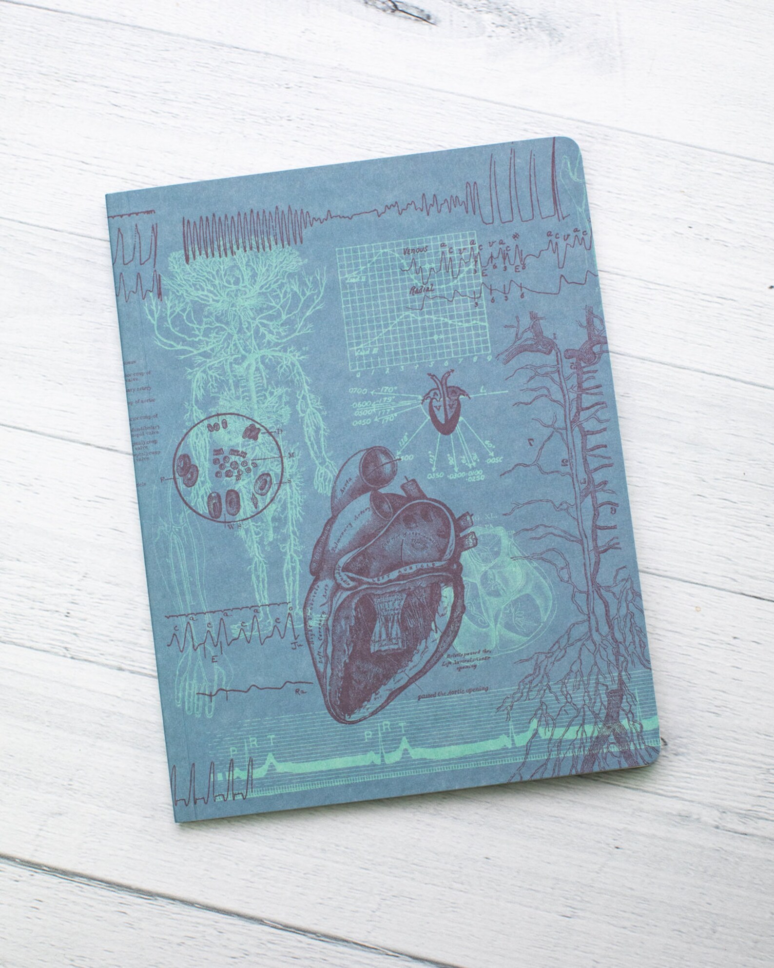 Cardiology Notebook | Anatomical Heart Softcover Journal, Medicine Gift ...