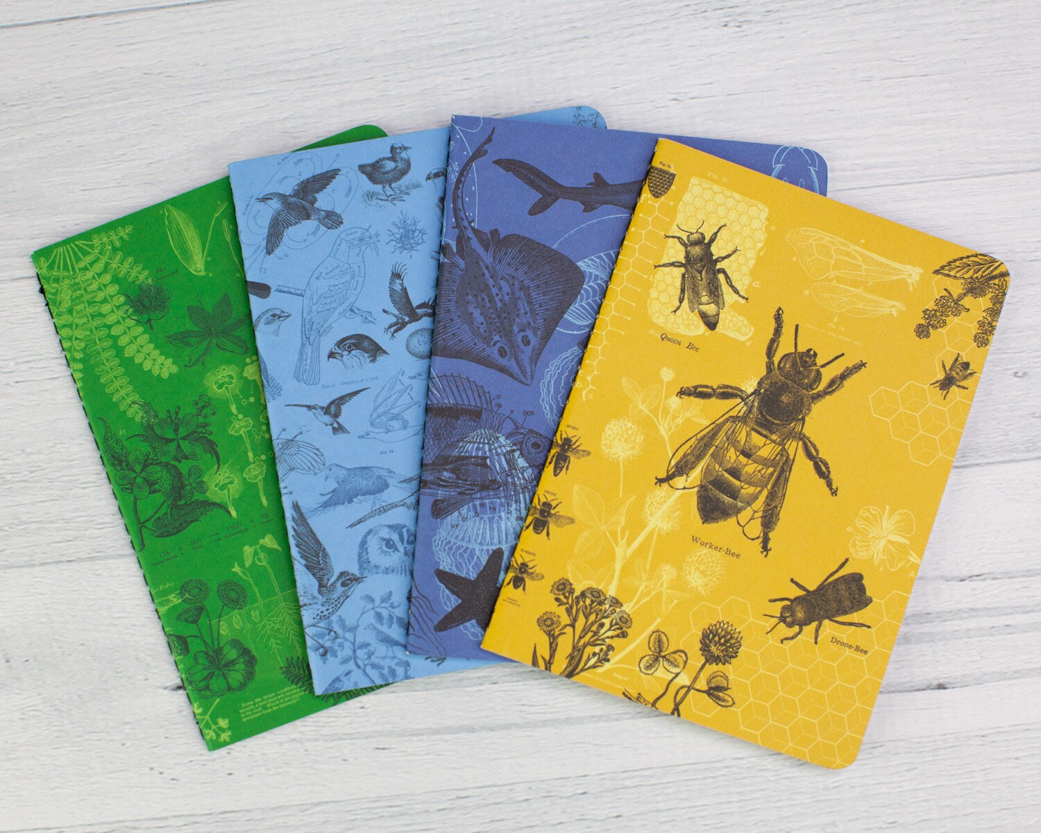 Life Science Pocket Notebooks Set of 4 Bee Journal Marine | Etsy