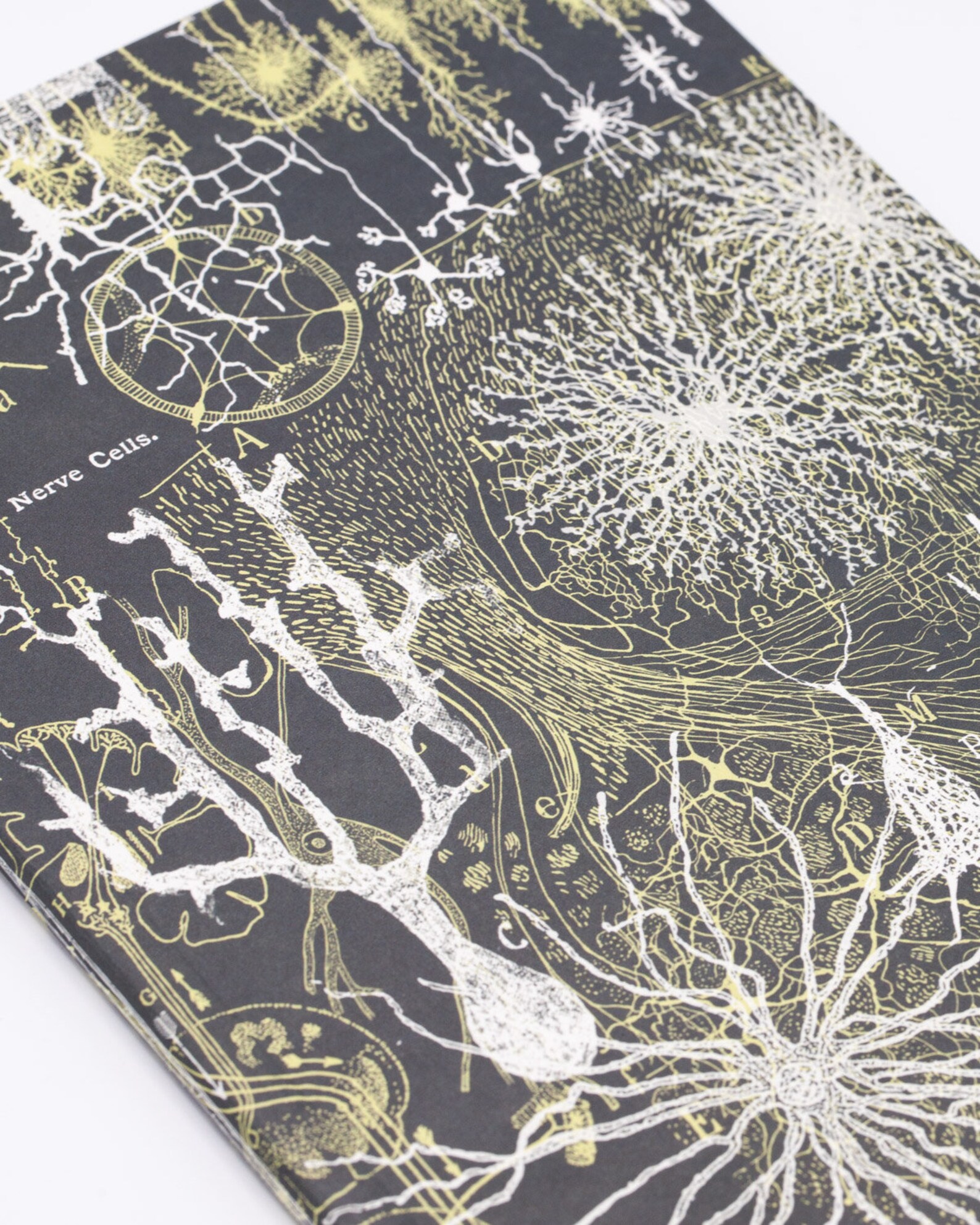 Neuron Softcover Notebook Brain Notebook Neuroscience - Etsy
