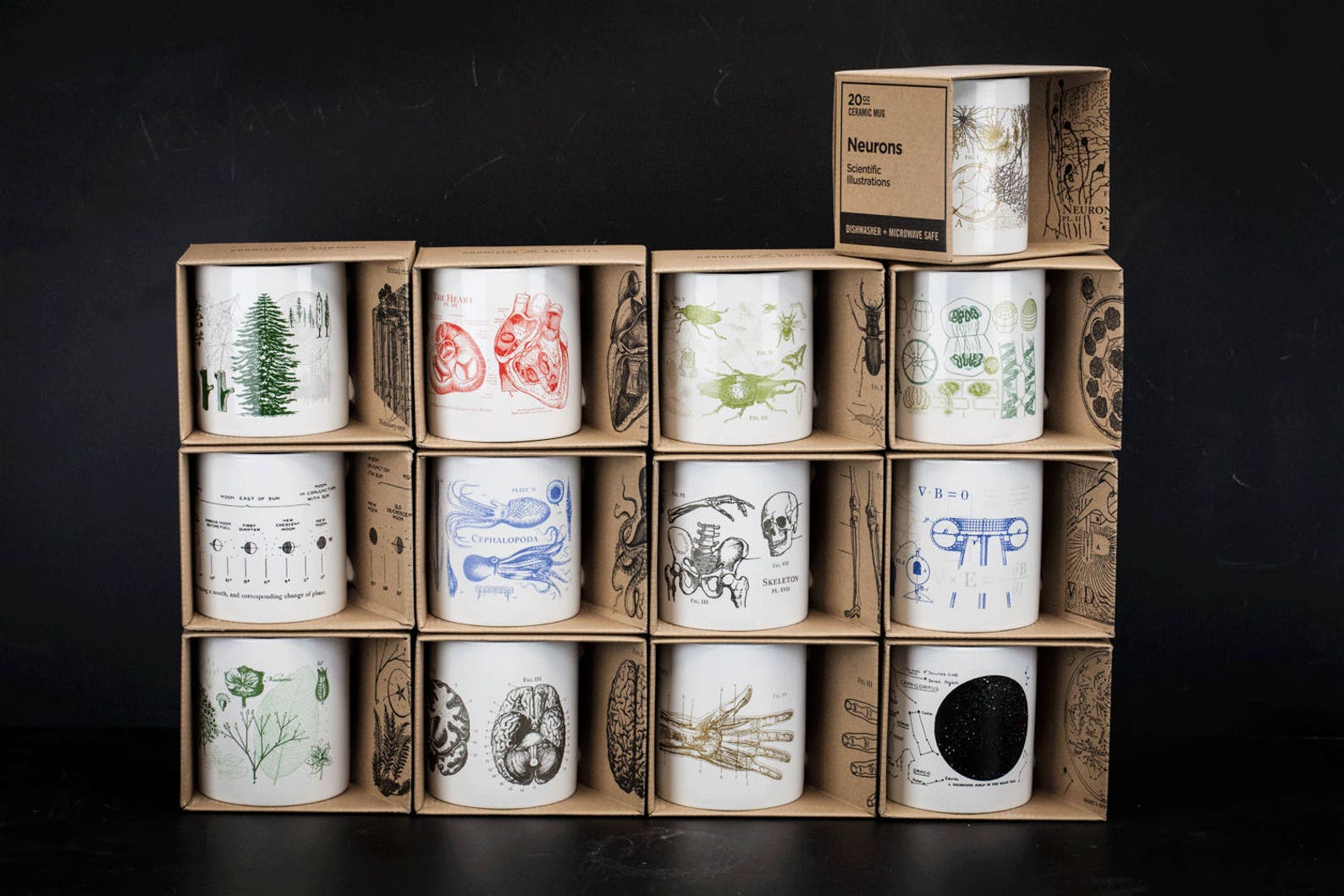 Spider Print Mug 20 Oz Science Mug Biology Gifts | Etsy