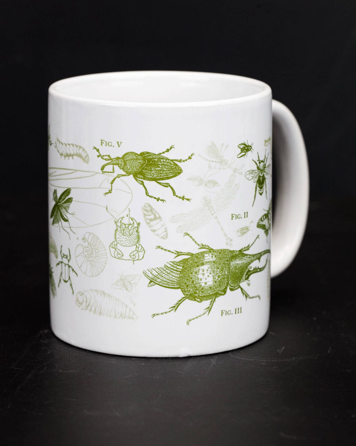 Insect Mug 20 Oz Science Mug Professor Gift Entomology | Etsy