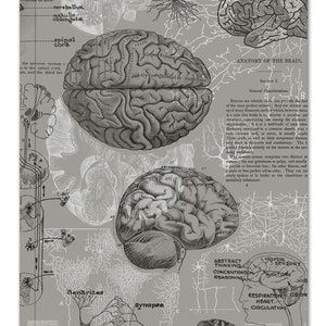 Brain Anatomy Softcover Notebook Dot Grid Journal, Graph Paper Notebook ...