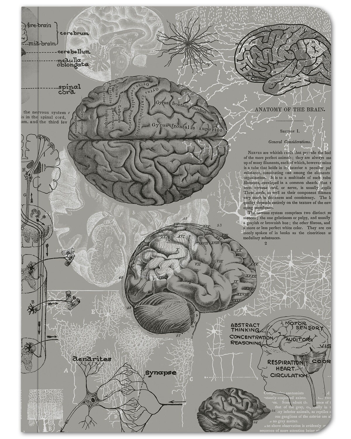 Brain Anatomy Softcover Notebook Dot Grid Journal Graph - Etsy