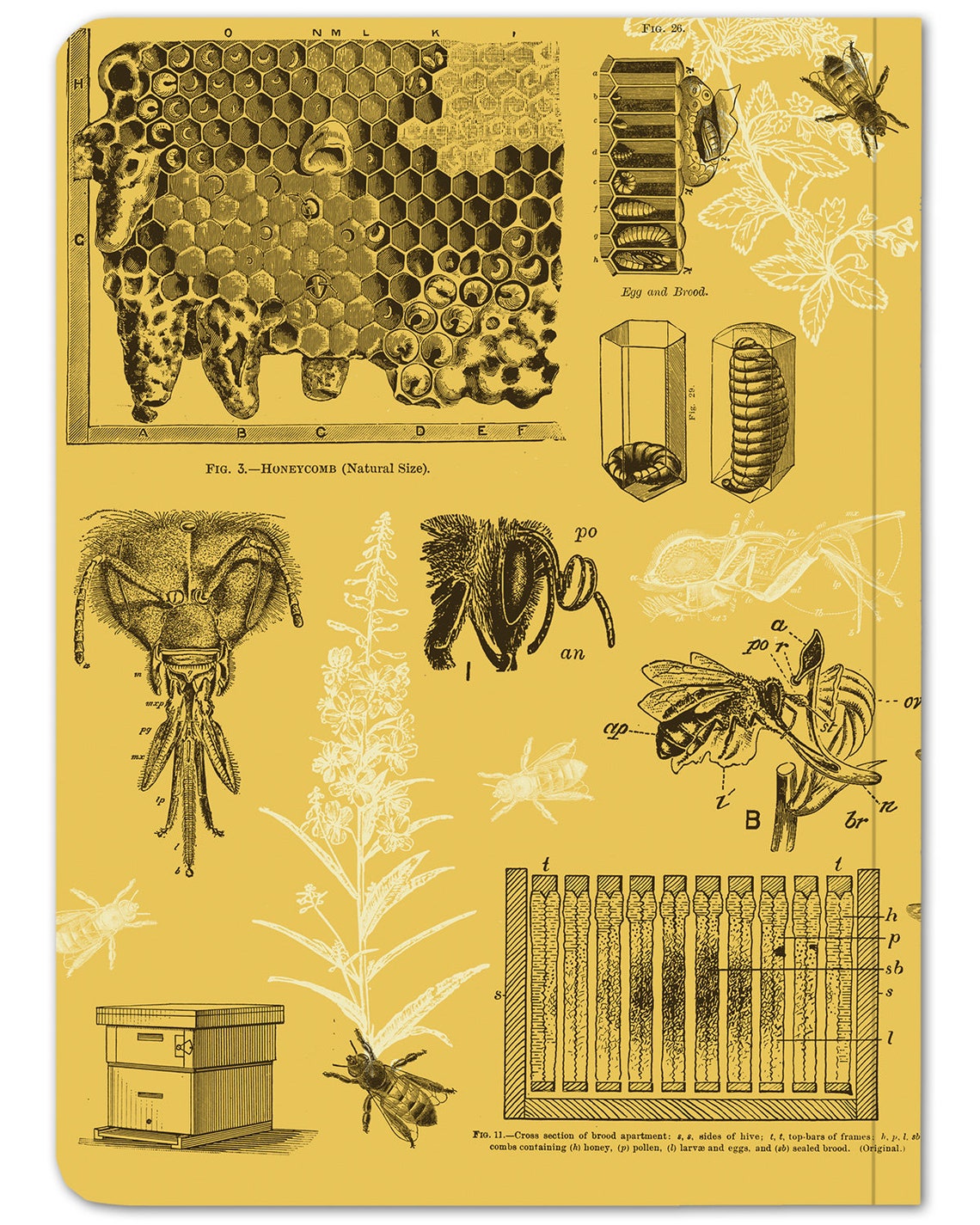 Honey Bee Softcover Notebook Biology Gifts Nature Journal | Etsy