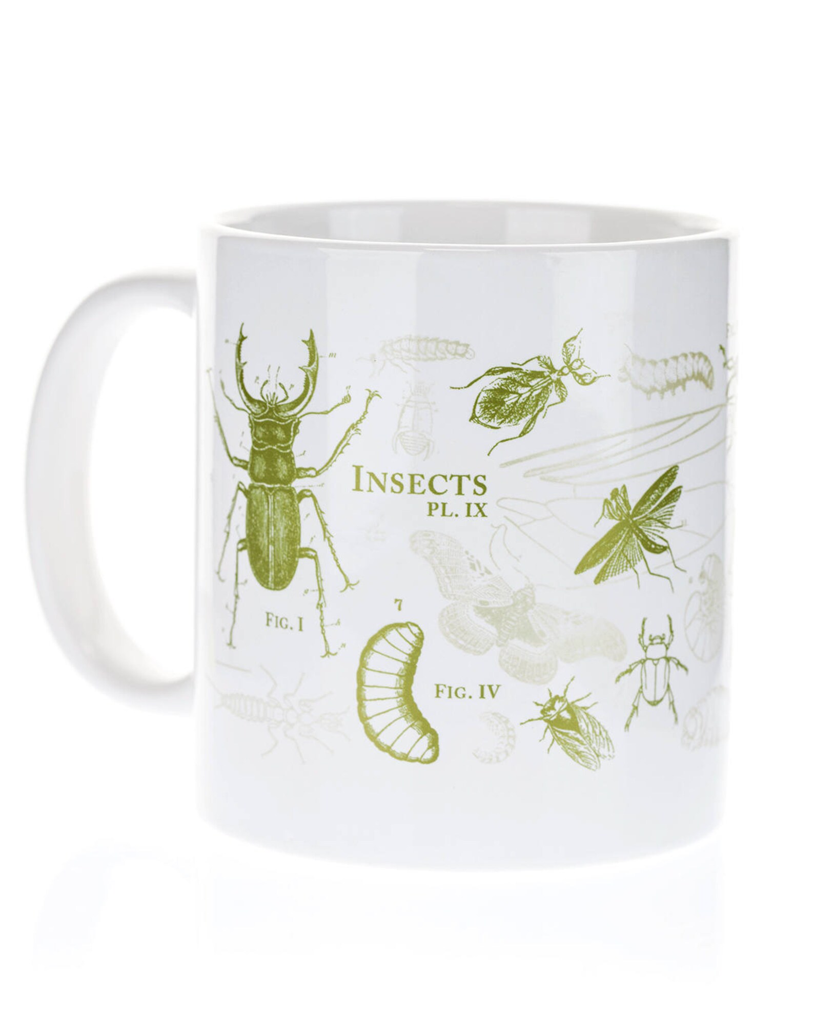 Insect Mug 20 Oz Science Mug Professor Gift Entomology | Etsy