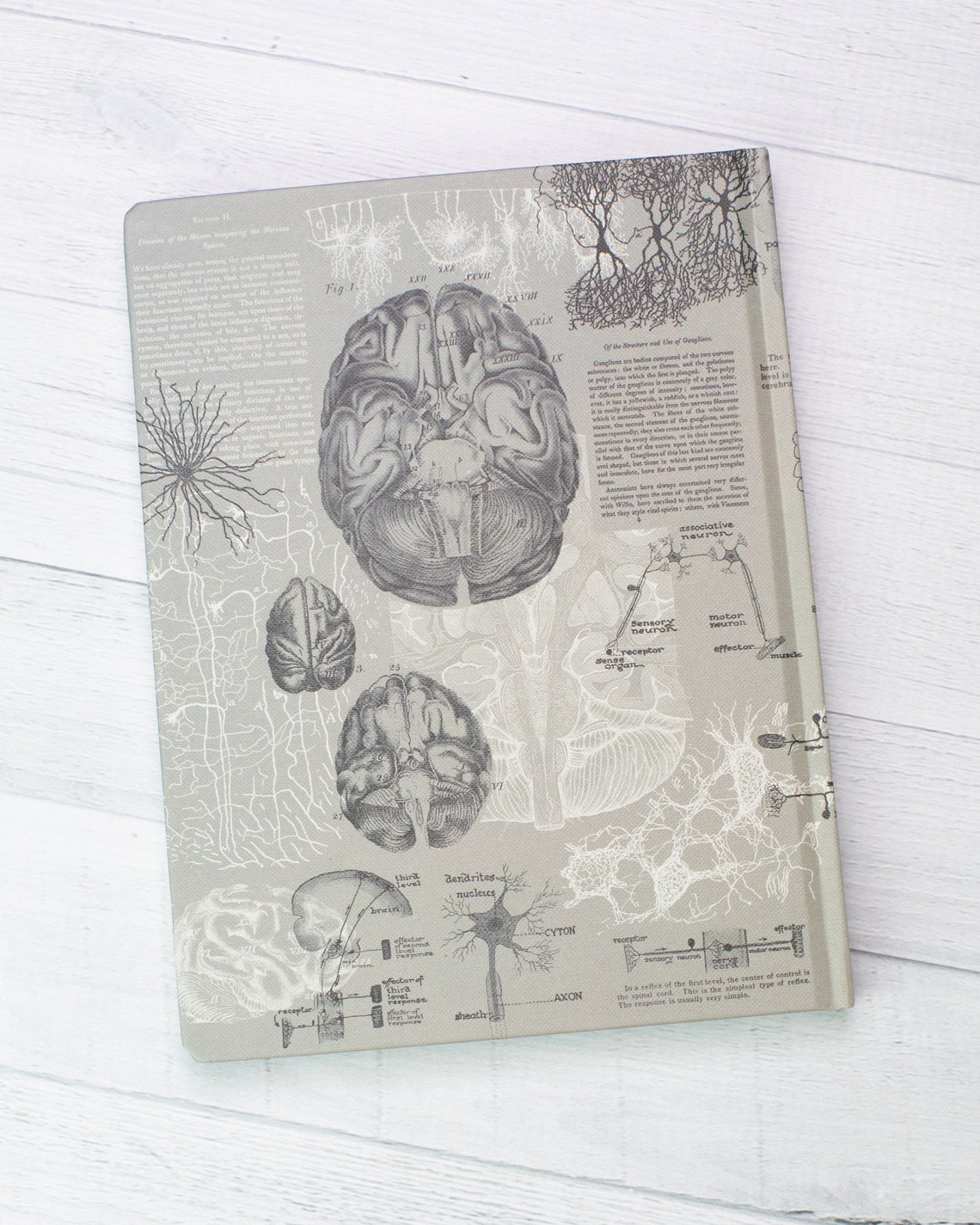 Brain Anatomy Hardcover Notebook Dot Grid Journal Graph - Etsy