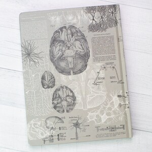 Brain Anatomy Hardcover Notebook Dot Grid Journal, Graph Paper Notebook ...