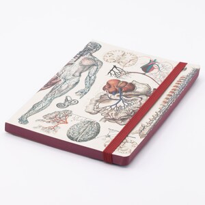 Anatomy A5 Notebook - Softcover | Medical Student Gift, Anatomy Gift ...
