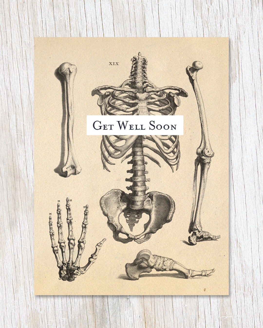 Get Well Soon Card | Skeleton Get Well Card, Anatomy Stationery ...