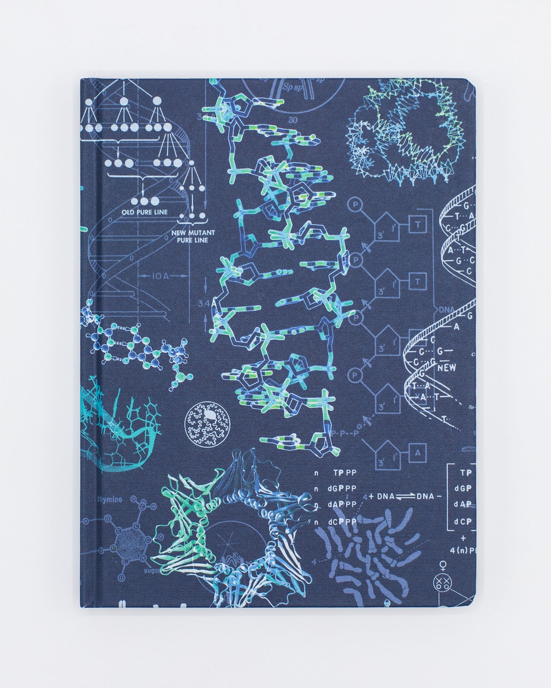 Genetics & DNA Hardcover Notebook | Biology Gifts, Medical Student Gift ...