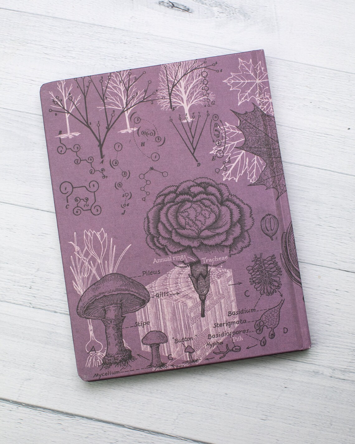 Tree Notebook Hardcover Hiking Journal Eco Journal Dot - Etsy