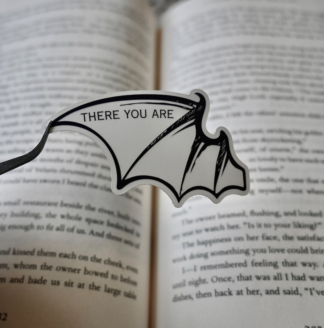LAST CHANCE There You Are Sticker | ACOTAR Sticker | Officially ...
