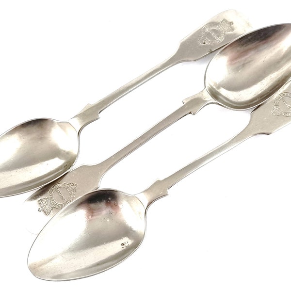 Nevada Silver Spoon - Etsy