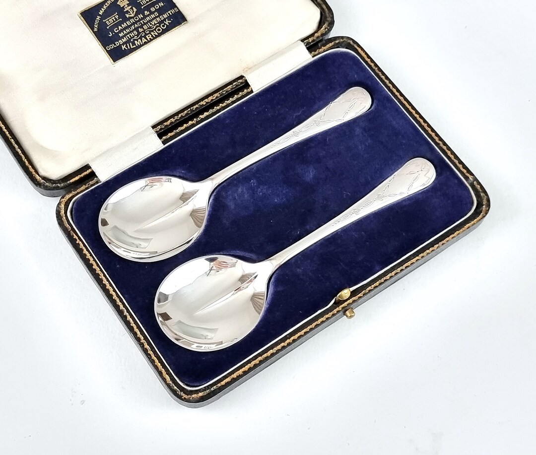 Pair of Small Spoons, Cased Flatware, Silver Plate, Preserve Spoons ...