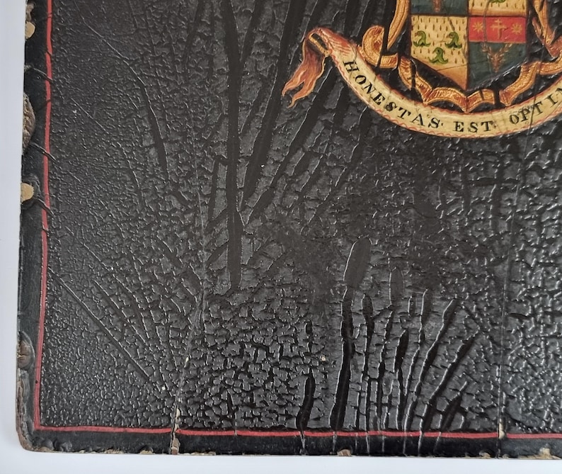 DISTRESSED Look, Antique Wooden Panel, From a Carriage, Armorial Crest ...