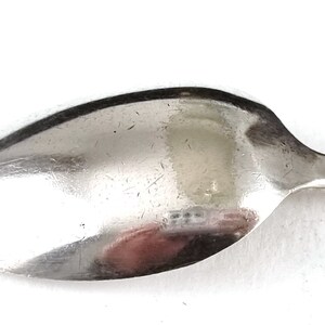 One Spoon Missing, Antique Cased Flatware, Spoons and Tongs, Eleven ...