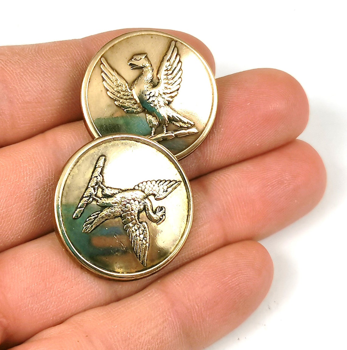 Pair of Buttons Livery Buttons Bird of Prey Historical - Etsy UK