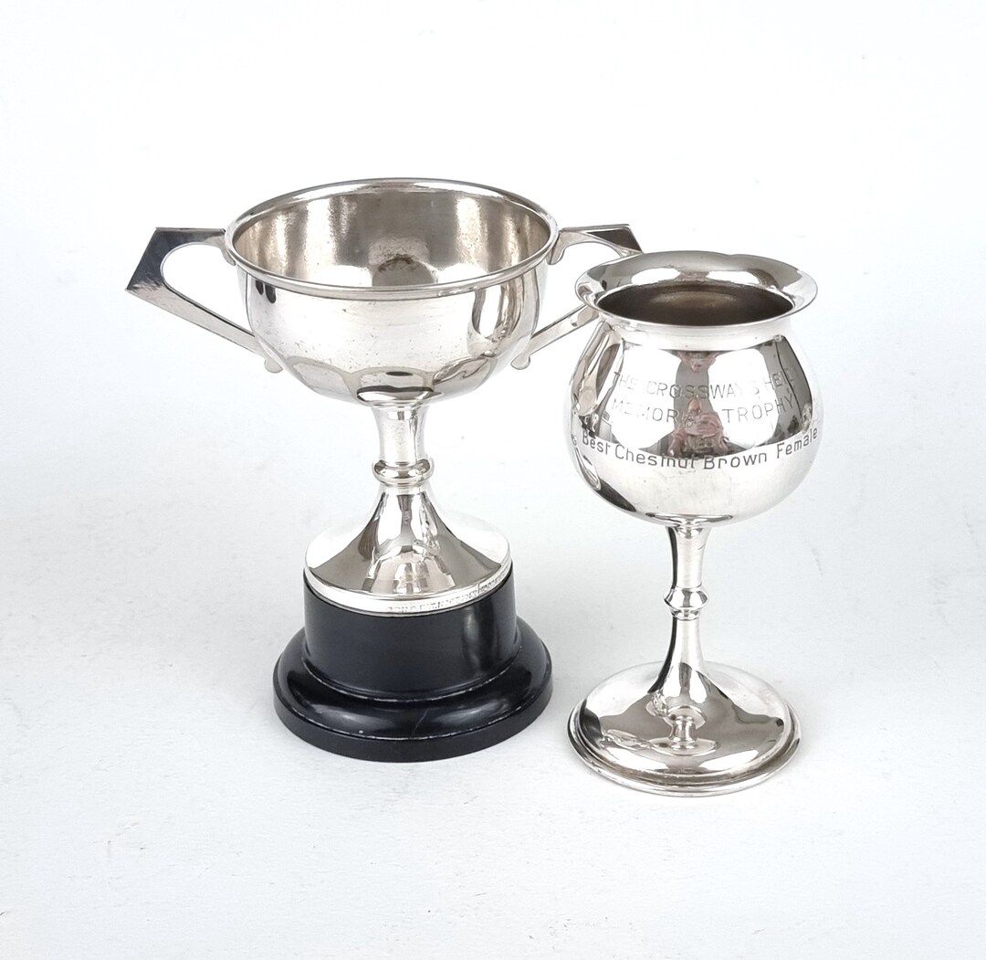 Small Trophy Cups, Worn Silver Plate, Cat Showing, Oldest Siamese, Chestnut Brown Female ...
