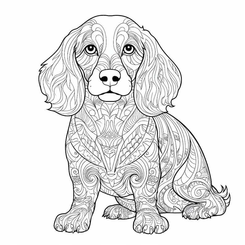 Amazing Adult Dachshund Mandala Coloring Book for All Doxie Lovers ...