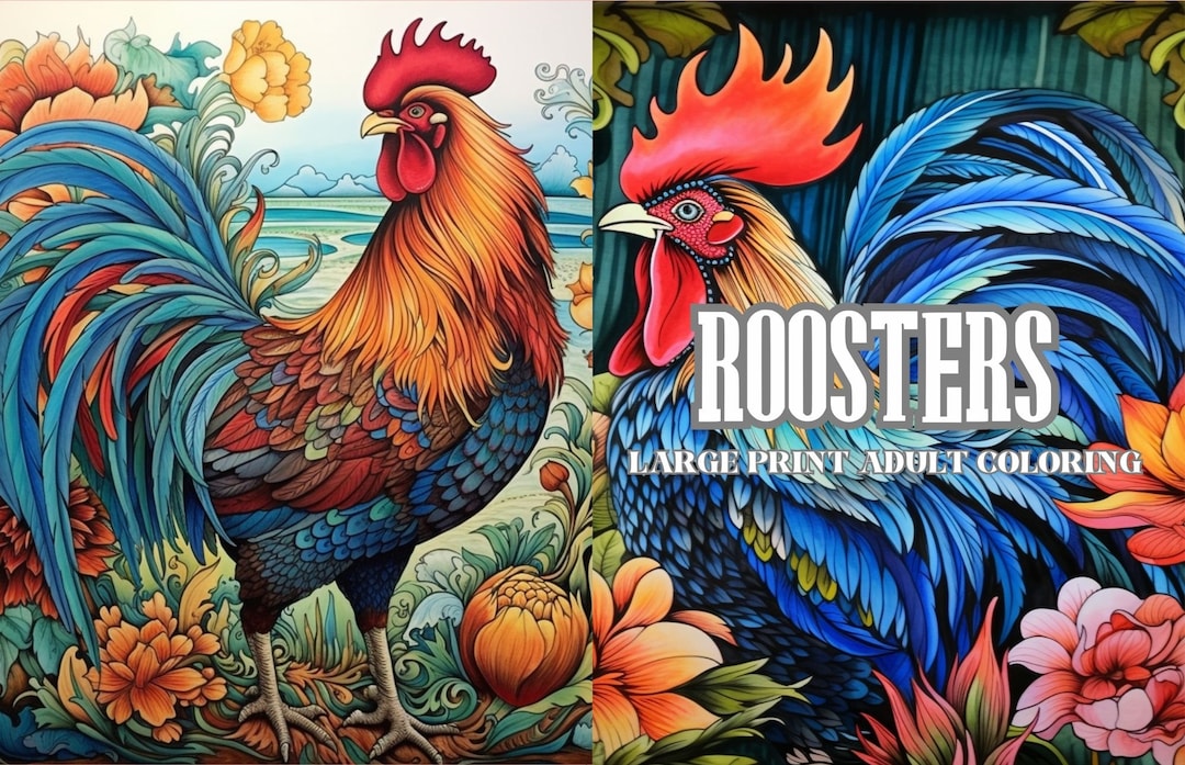 Large Print Rooster Coloring Book for Adults, Kids, Children , Seniors ...