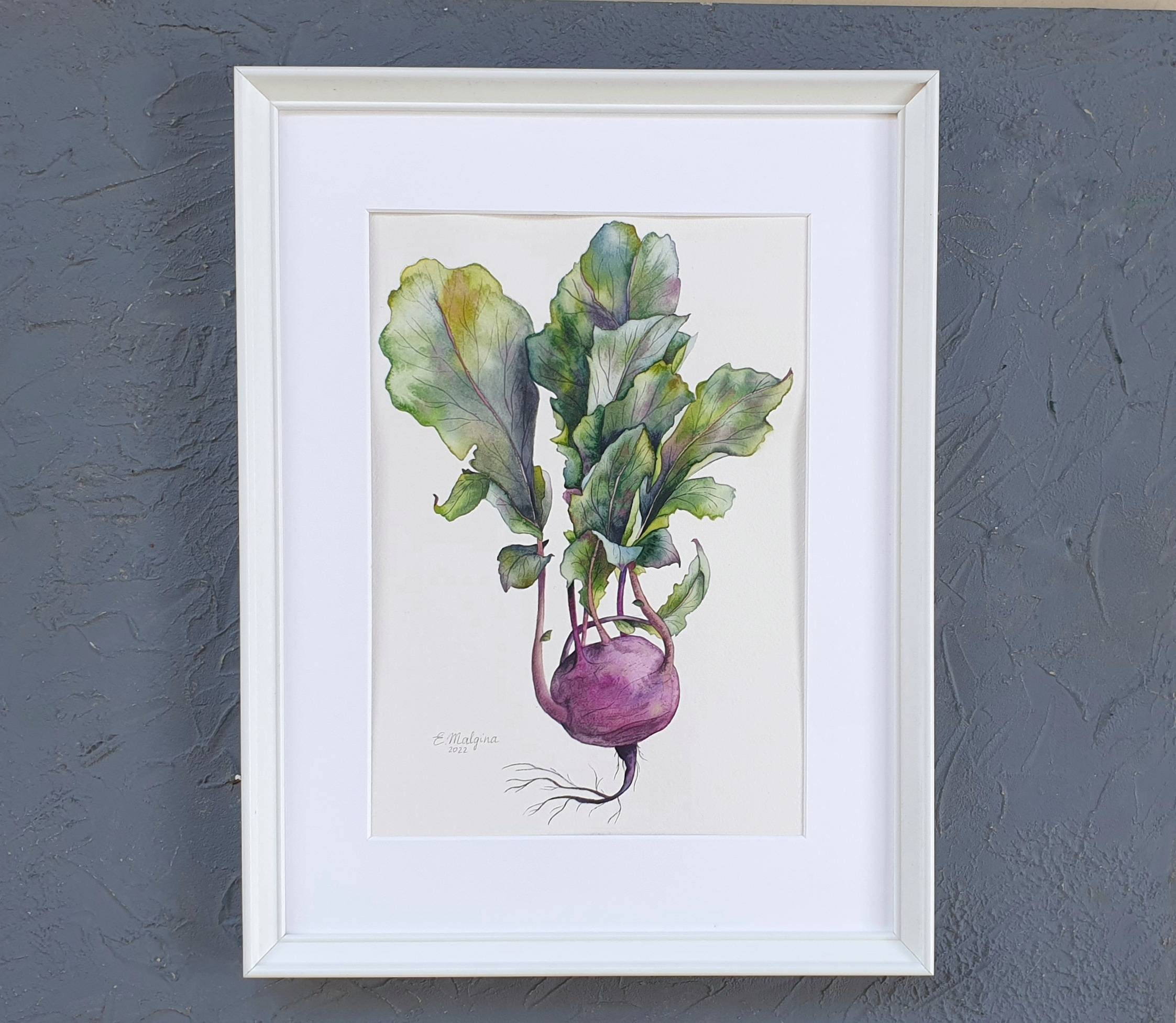 Kohlrabi Cabbage Painting Original Watercolor Artwork With Vegetables ...