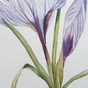 Crocus Watercolor ORIGINAL Artwork Minimalist Botanical Painting Floral ...