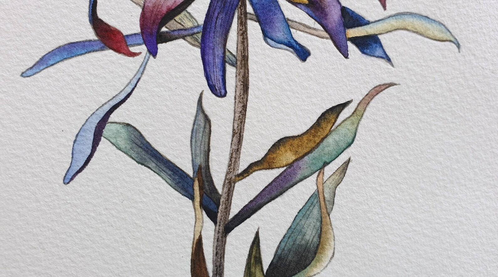 Leucadendron Original Watercolor Painting in Fantasy Style Contemporary ...