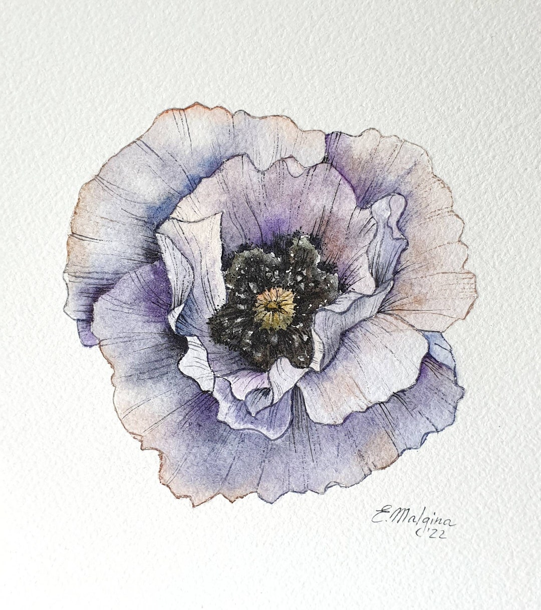 Watercolor Fine Art Painting Purple Poppy Original Flower Art for Wall ...