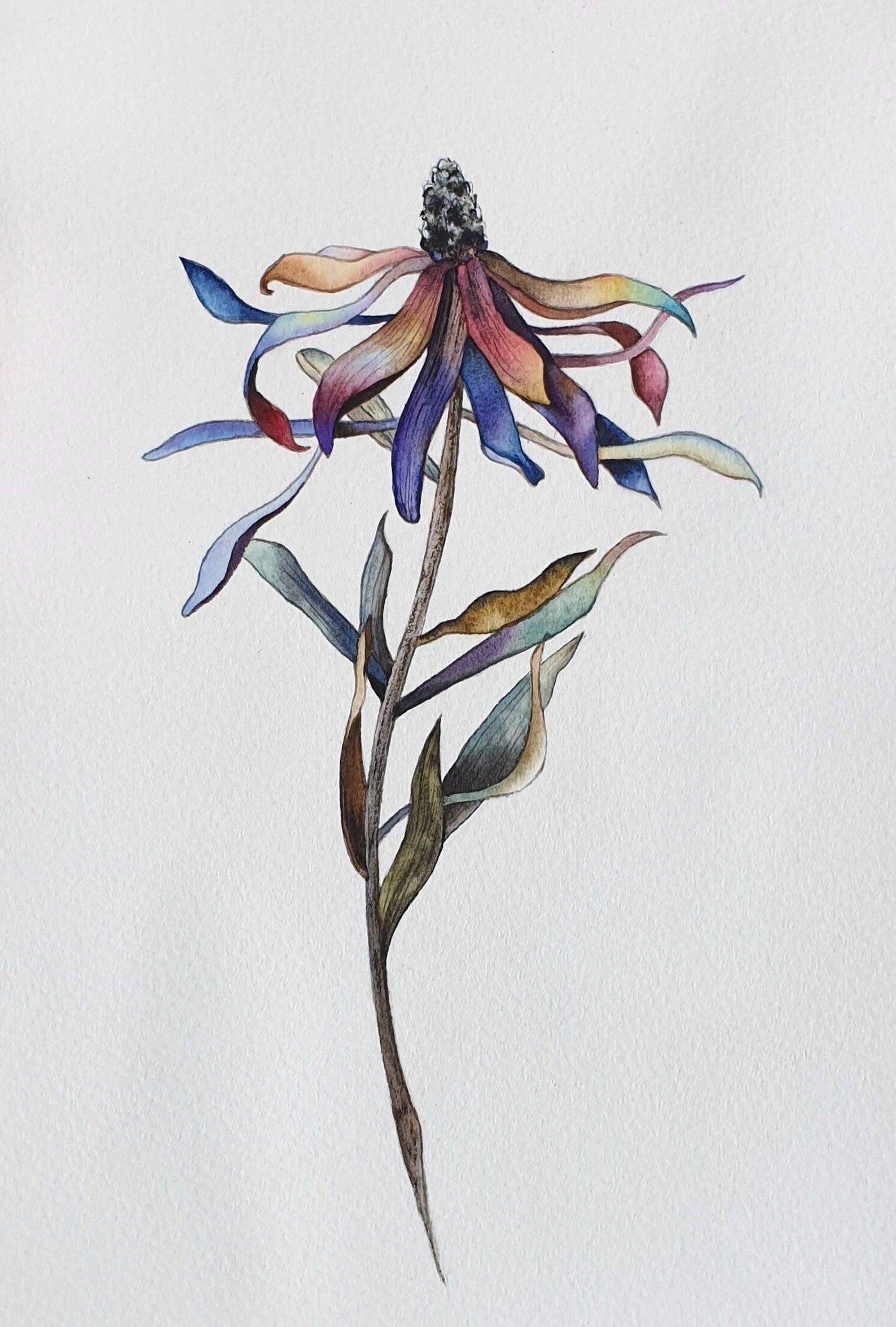 Leucadendron Original Watercolor Painting in Fantasy Style Contemporary ...