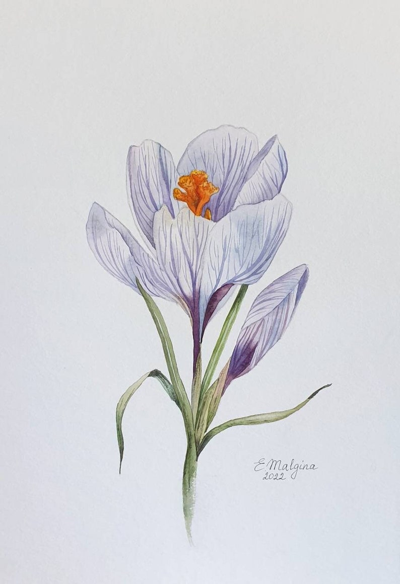 Crocus Watercolor ORIGINAL Artwork Minimalist Botanical Painting Floral ...