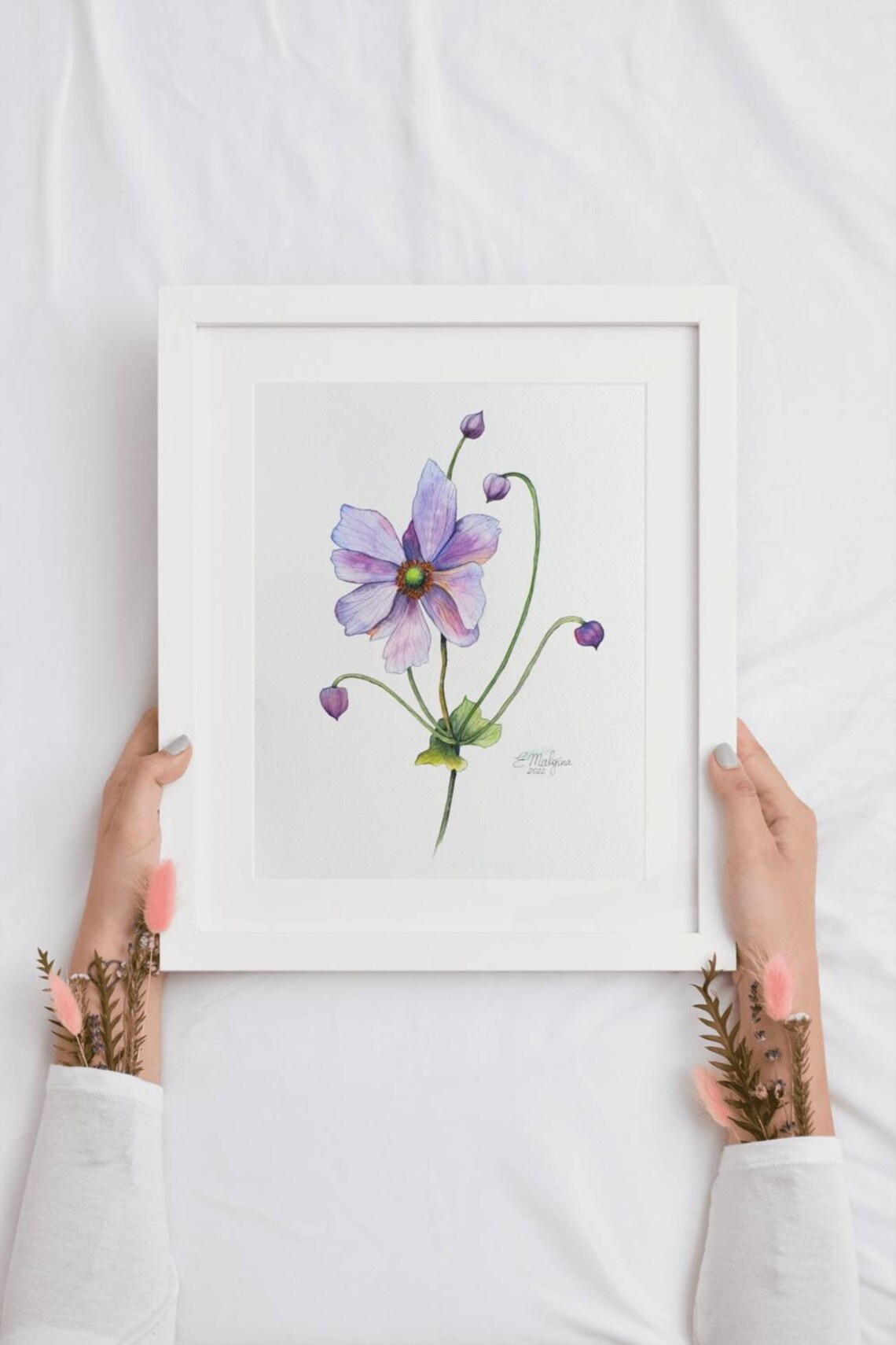 Purple Anemone Eriocapitella Hupehensis With Buds Original Watercolor ...