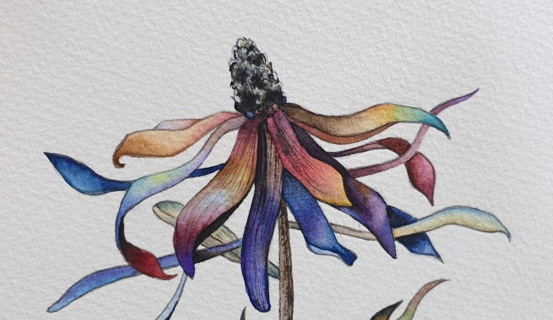 Leucadendron Original Watercolor Painting in Fantasy Style Contemporary ...